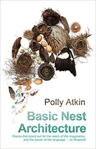 Basic Nest Architecture : Polly Atkins – Rigg's Cabinet of Curiosities